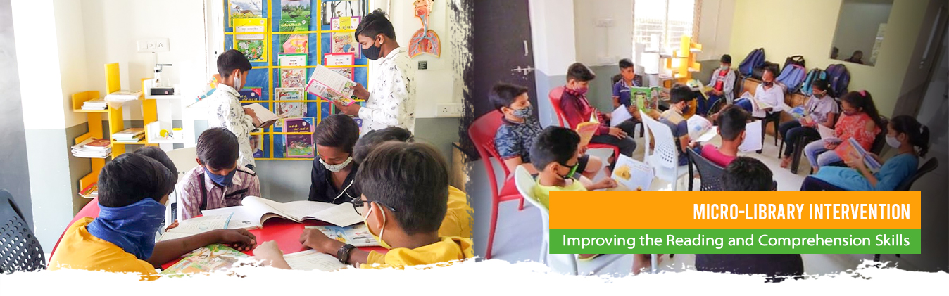 Micro Library Intervention